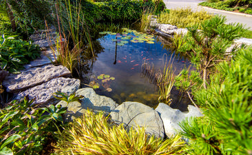 20'x20' Pond Bundle — JustPondLiners.com